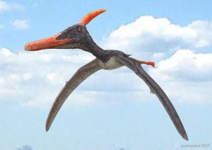 Ludodactylus Sibbicki Nedir - Boştabure